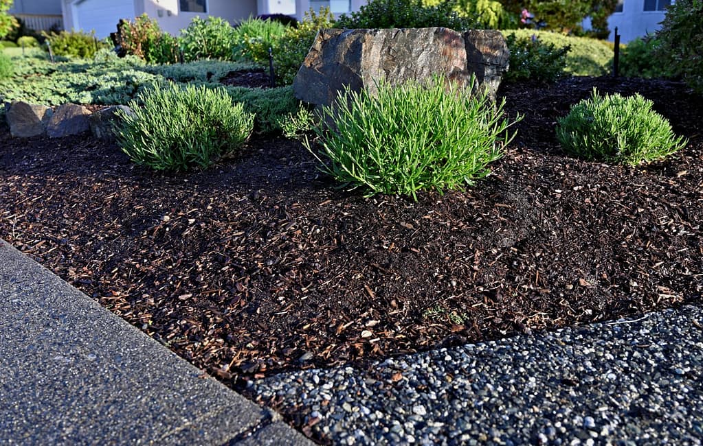 PROFESSIONAL MULCH INSTALLATION YOUR NEIGHBORS WILL ENVY | QUEENSBURY'S ...